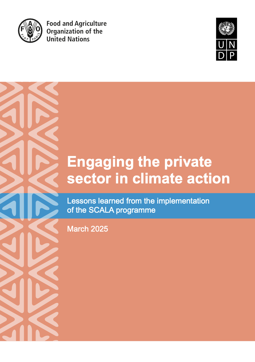 Engaging the private sector in climate action: Lessons learned from the implementation of the ...